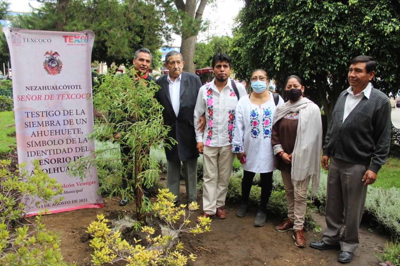 Siembran ahuehuete en memoria e identidad del pueblo mexica y de ...