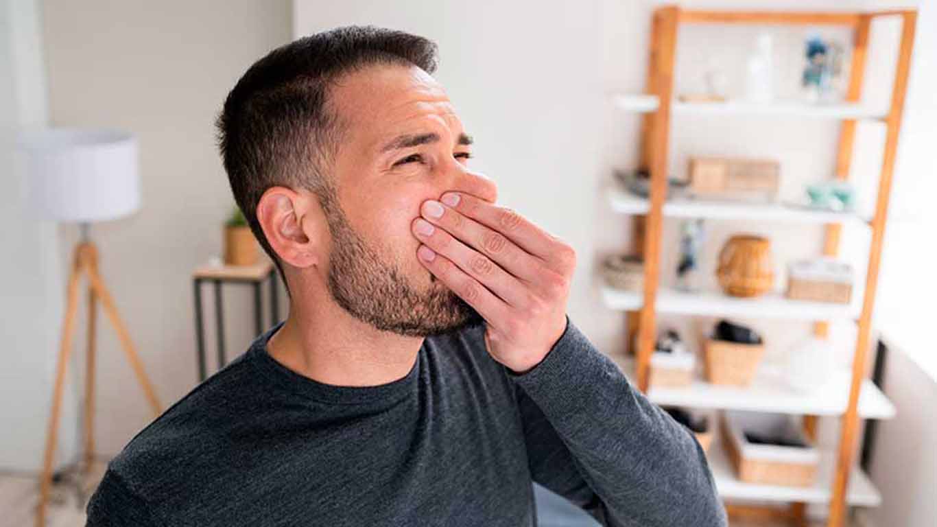 El olfato, ¿por qué es fundamental para la sobrevivencia? - Revista Zócalo